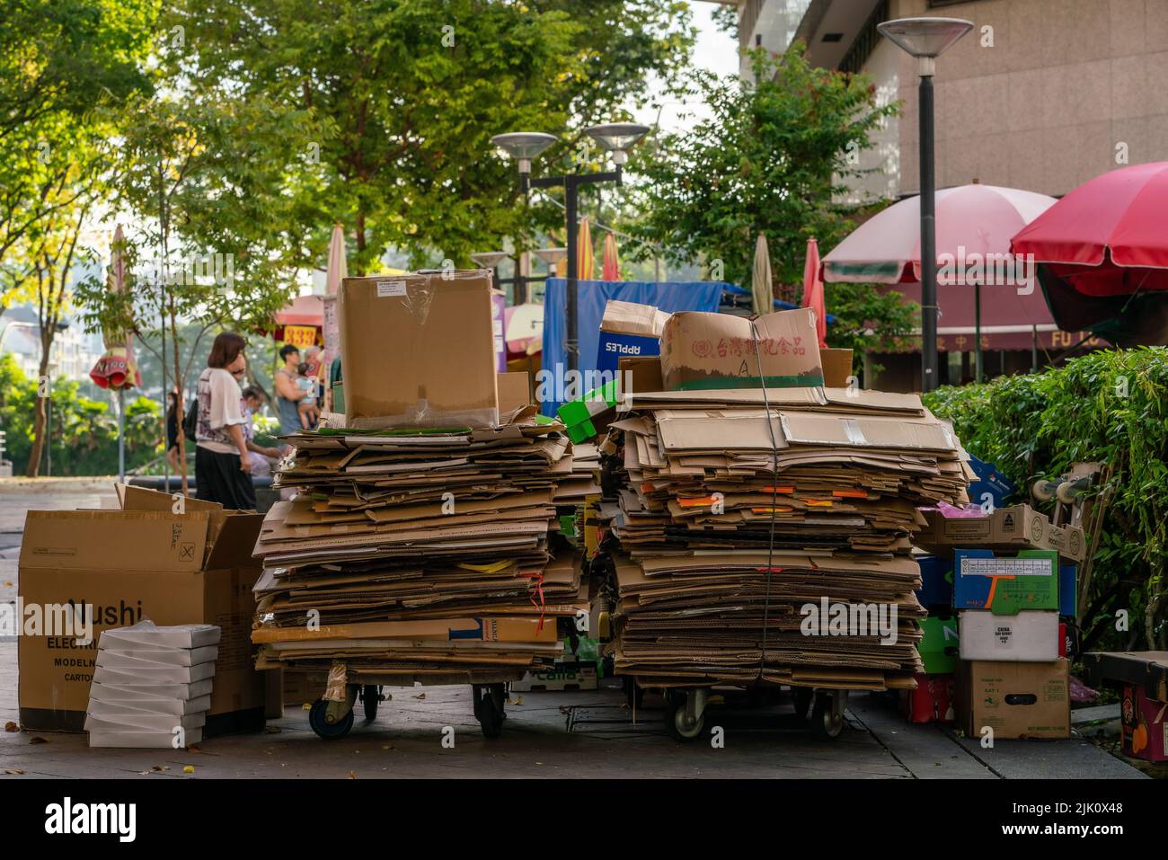Pile of cardboard stacked neatly on the trolleys ready for recycling on ...