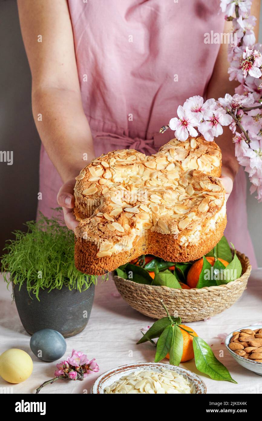 Hands holding Colomba (traditional Italian Easter cake with almonds ...