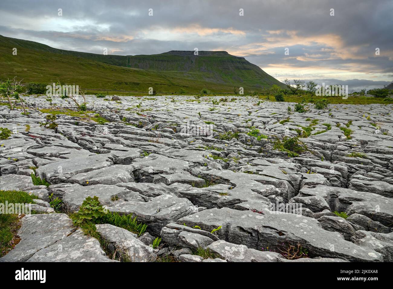 Limestone pavement, Southerscales Fell, Ingleborough, Ingleton, North ...