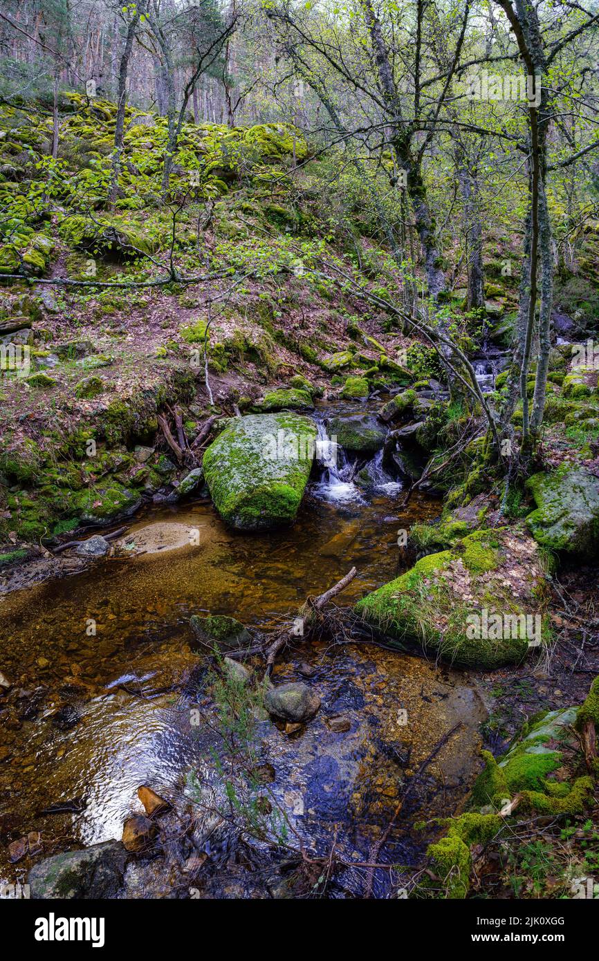 Green spring landscape with stream of water falling between the rocks ...