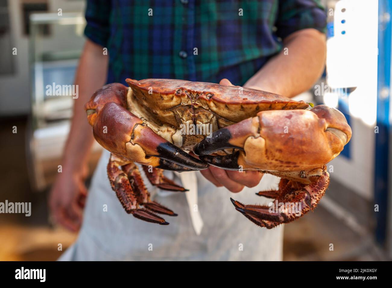 A chef holding a crab Stock Photo - Alamy