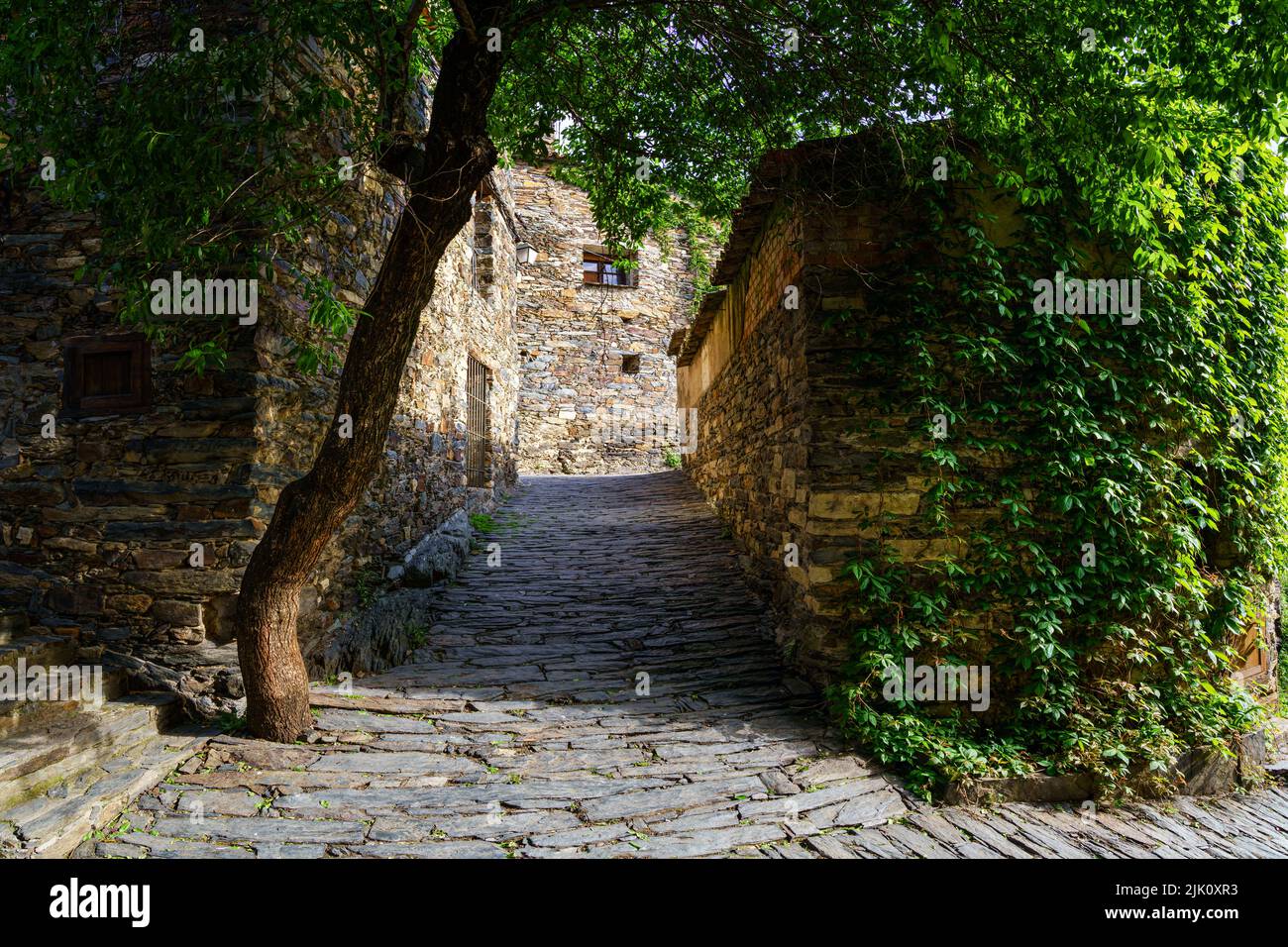 Small alley with stone facades covered by green ivy in spring. Patones ...