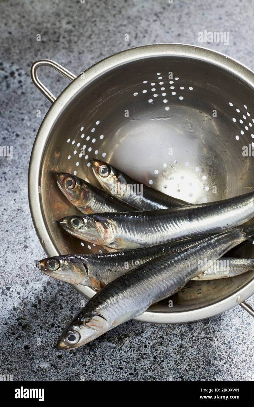 Colander head hi-res stock photography and images - Alamy