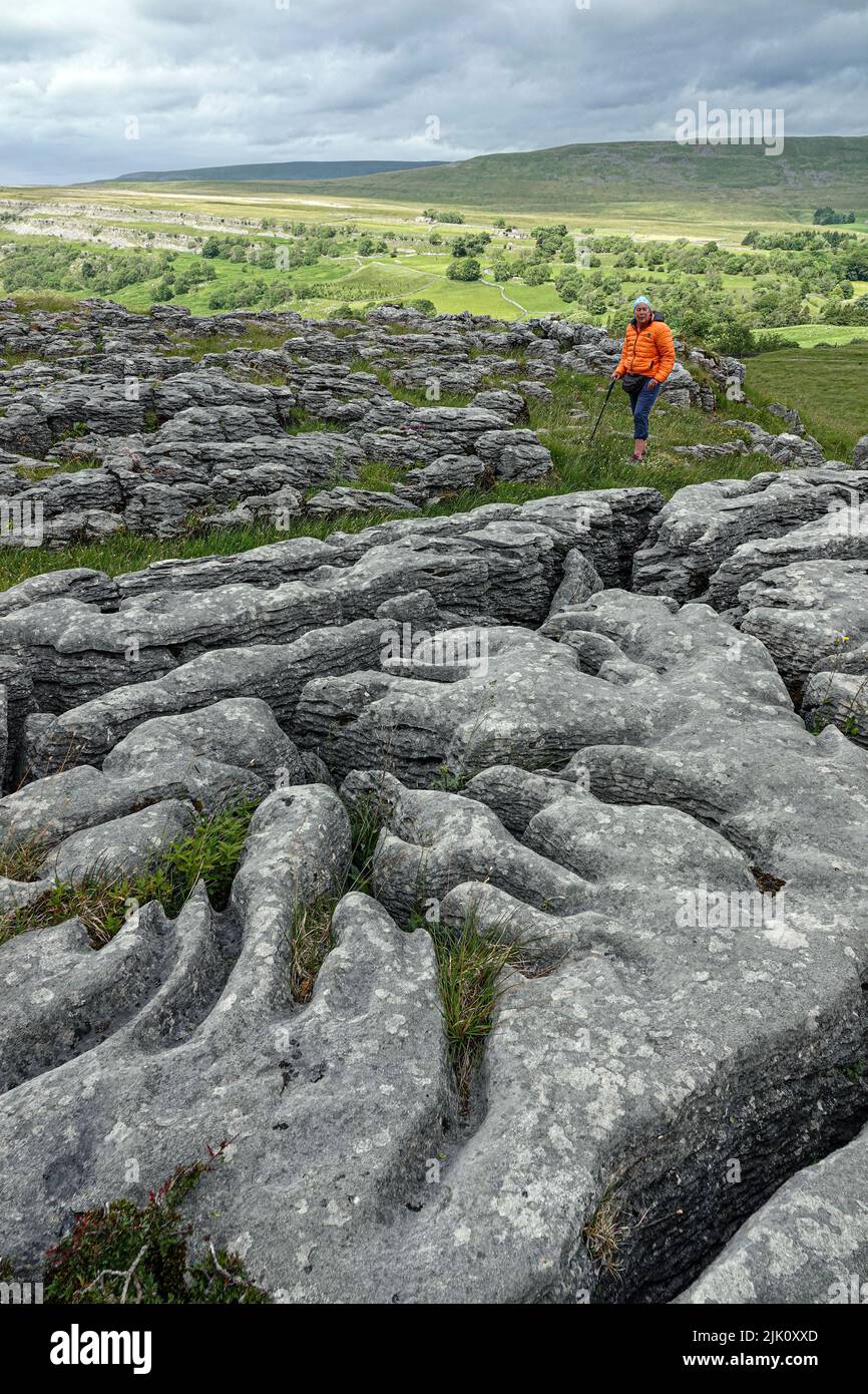 Solitary female walker in orange on the Limestone pavement ...