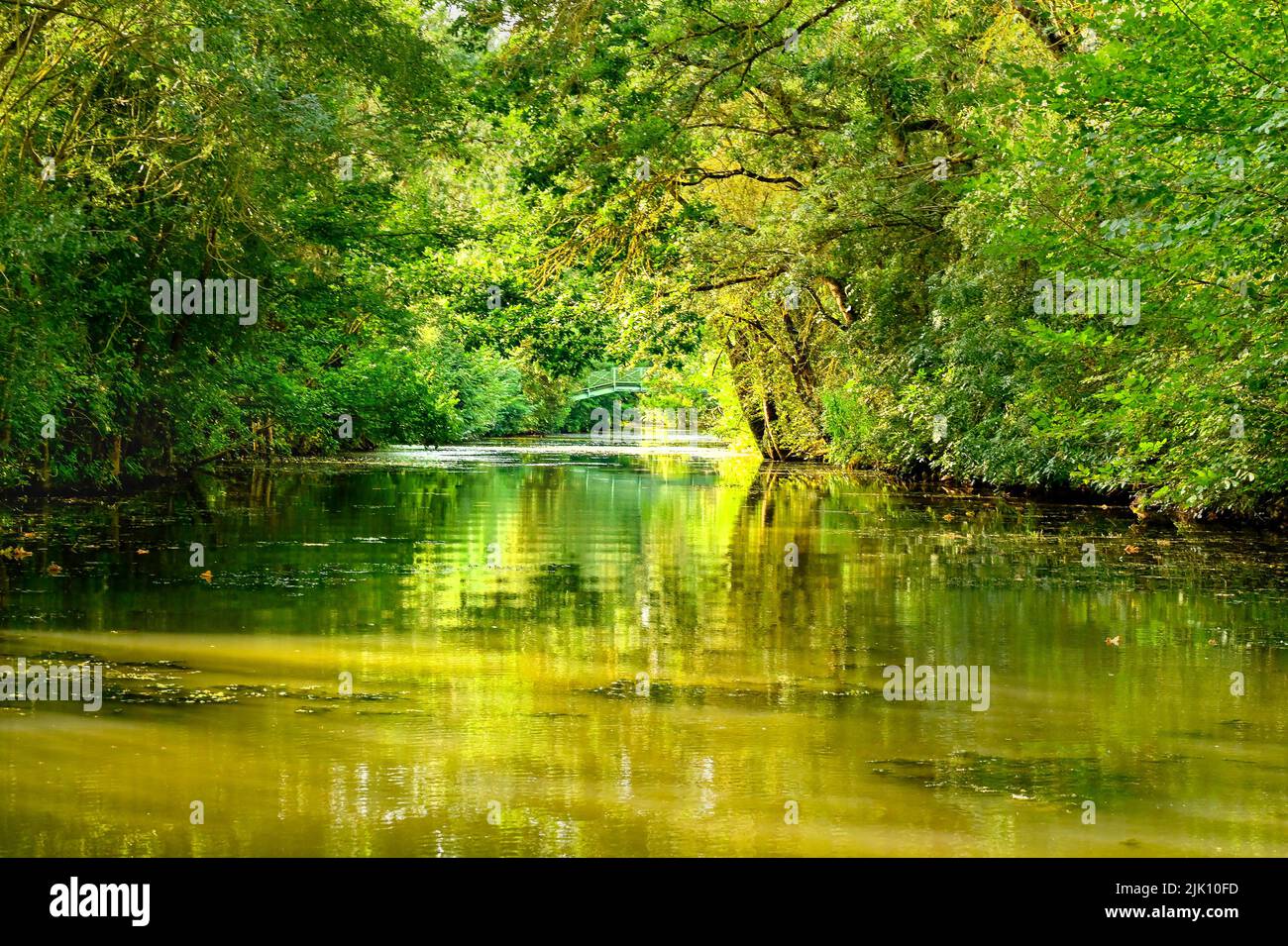 The wild swamp of the Marais Poitevin near Saint-Hilaire-la-Palud ...