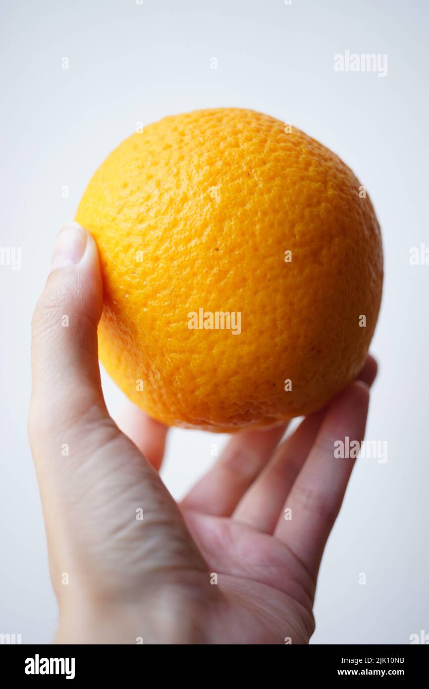 Ripe orange in human hand on white background Stock Photo - Alamy