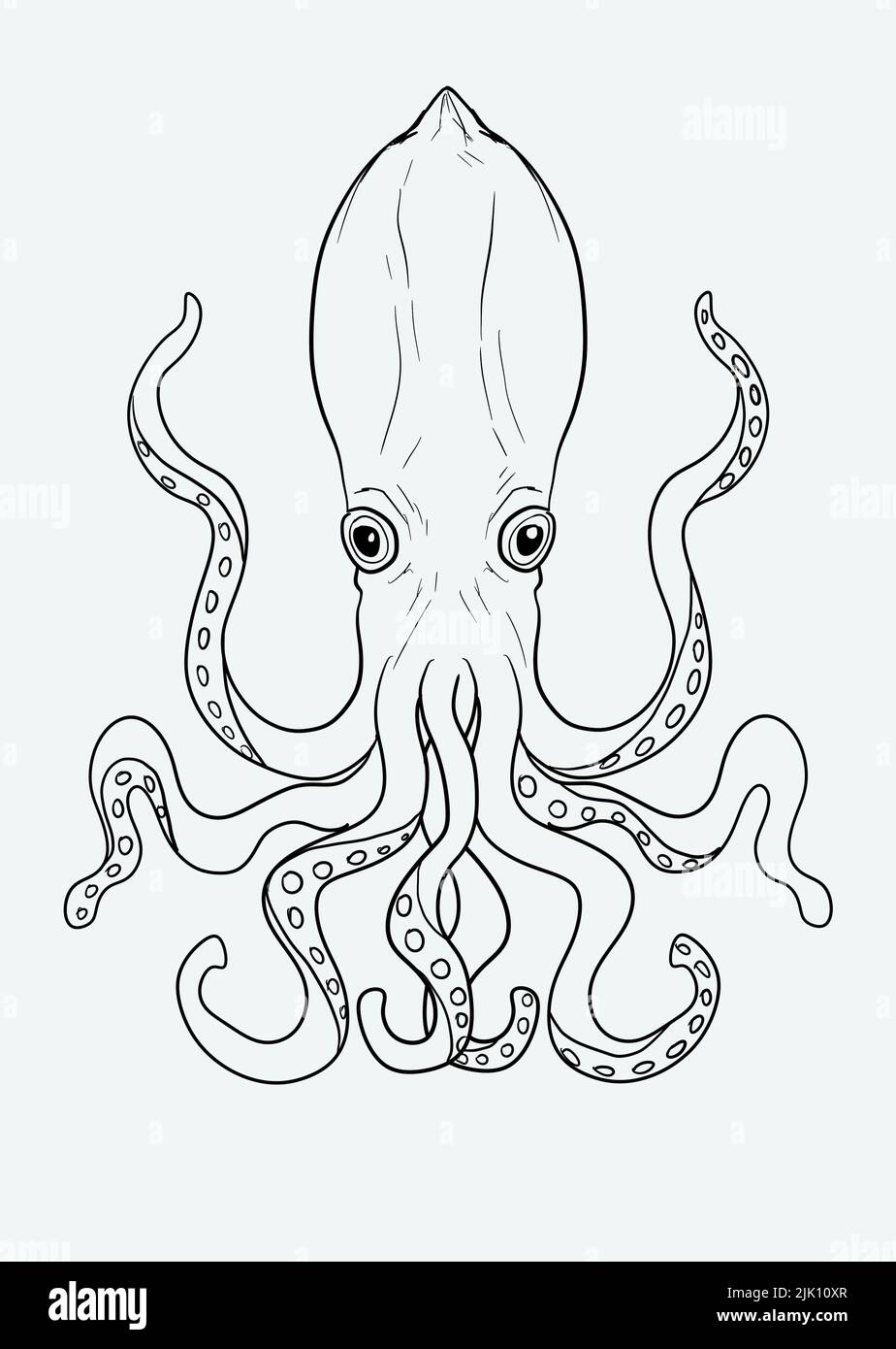 hand drawn octopus illustration Stock Photo - Alamy