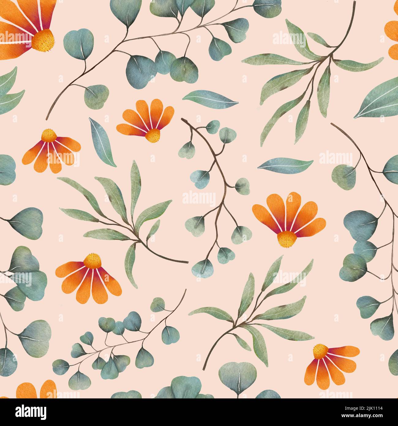 Eucalyptus flower illustration hi-res stock photography and images - Alamy