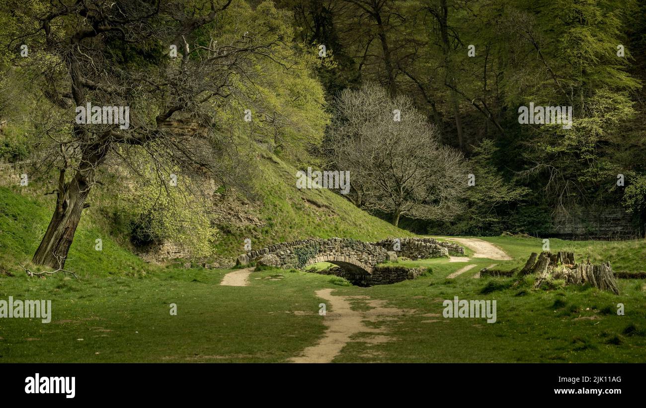 A small stone bridge over the stream in lush green park Stock Photo - Alamy