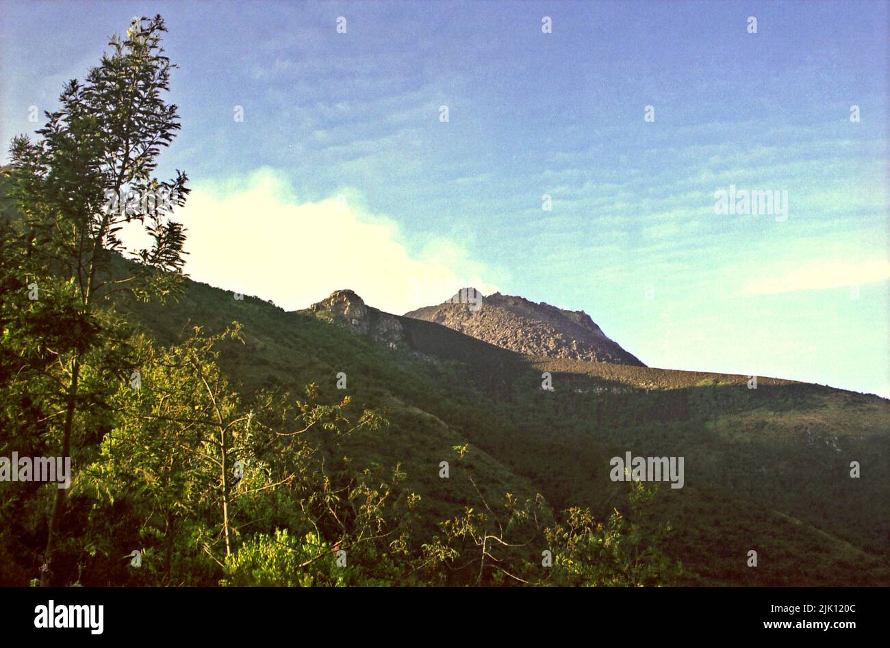 The top of Mount Merapi volcano is seen from a trail that is started ...