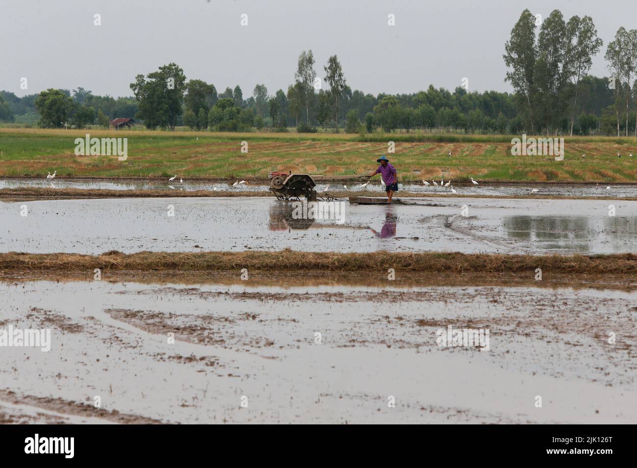 A farmer clears his rice field using a motorized plough in Nakhon Sawan ...