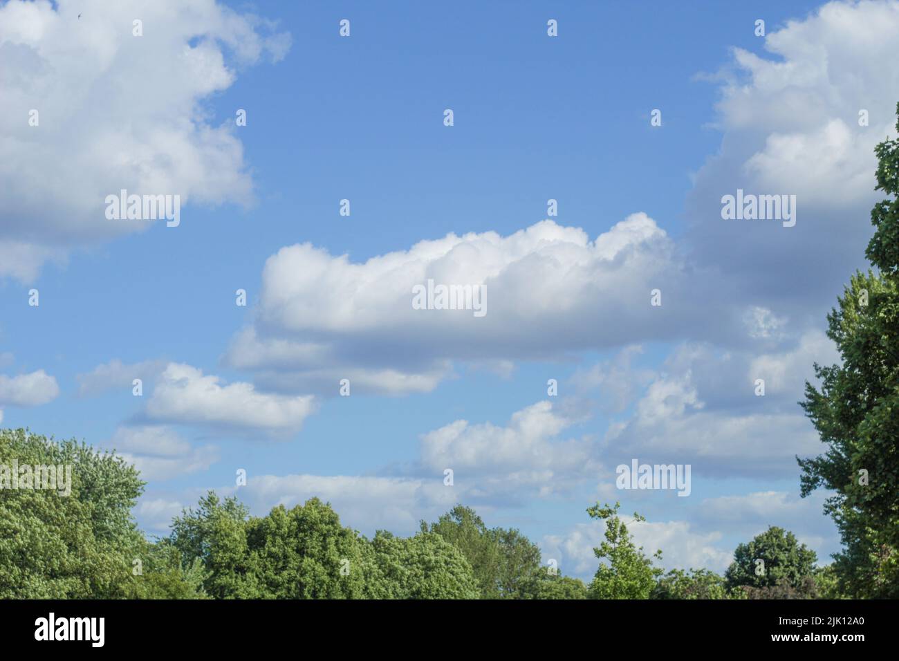 Beautiful white clouds in the blue sky. Sky with clouds and tree edges ...
