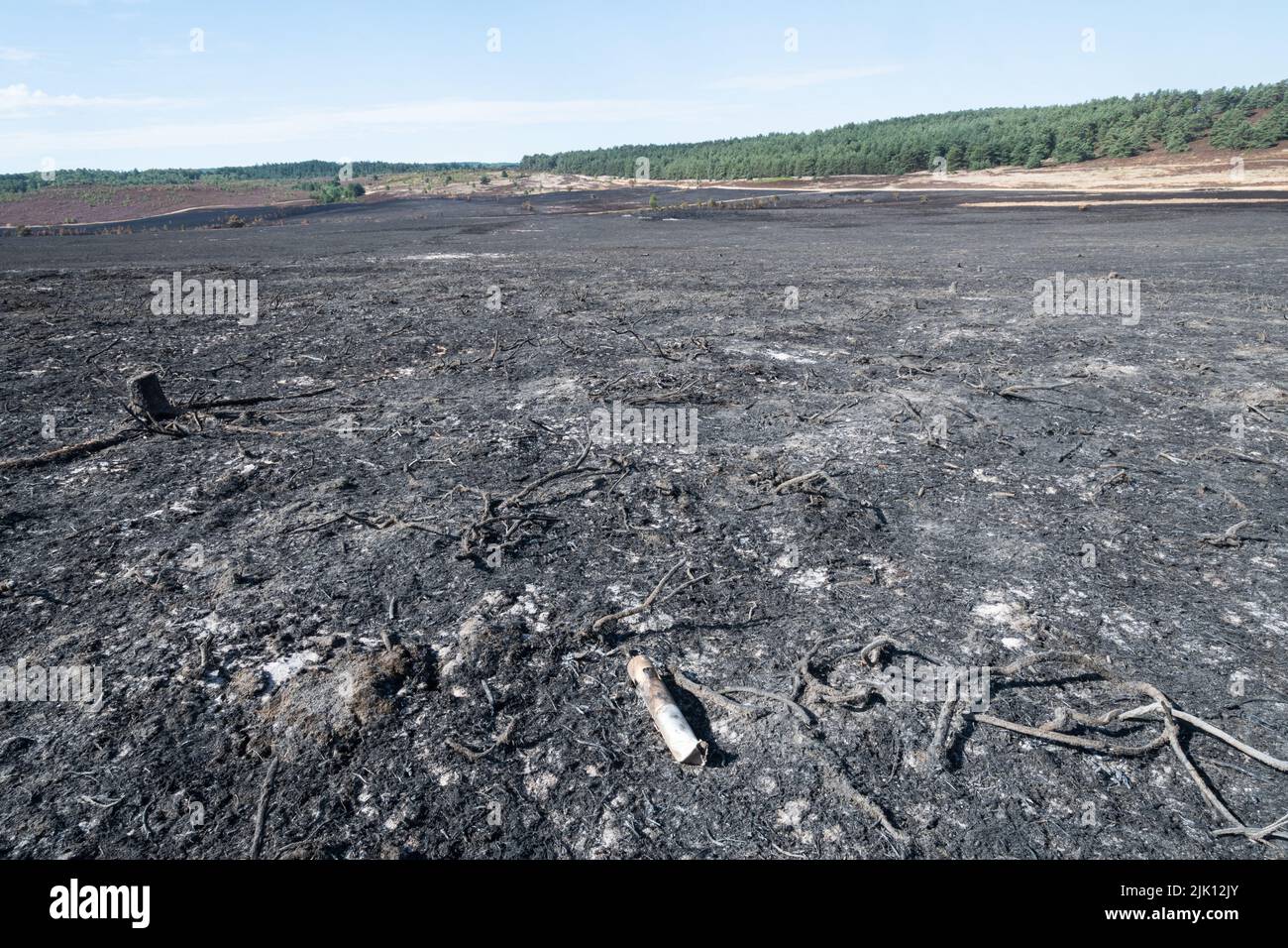 Hankley Common wildfire, Surrey, England, UK. Photographed 5 days after ...