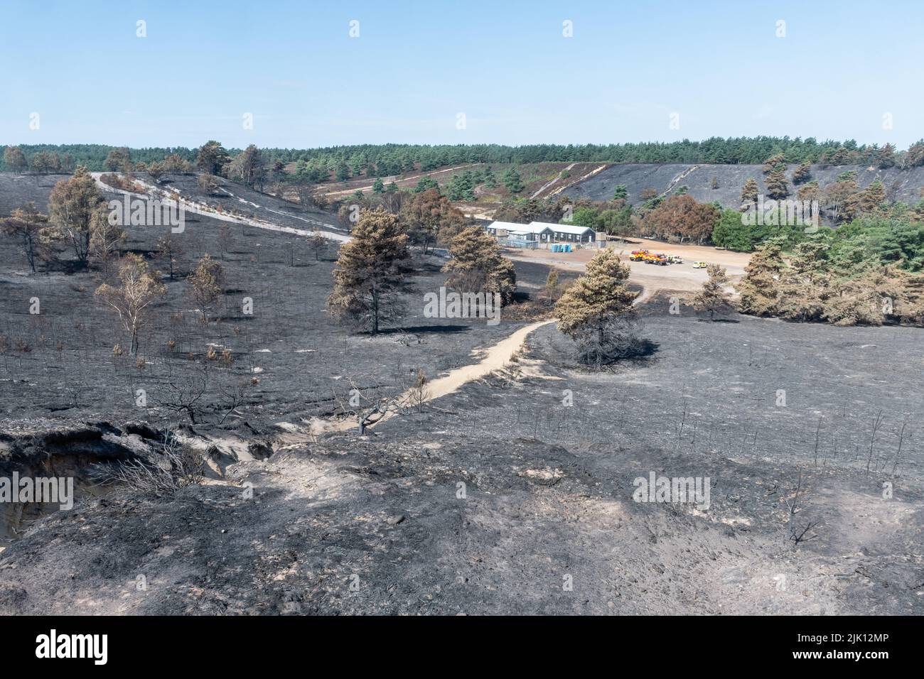 Hankley Common wildfire, Surrey, England, UK. Photographed 5 days after ...