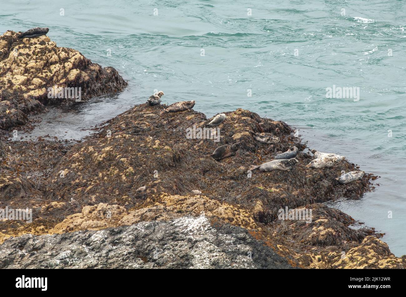 Garland stone skomer hi-res stock photography and images - Alamy