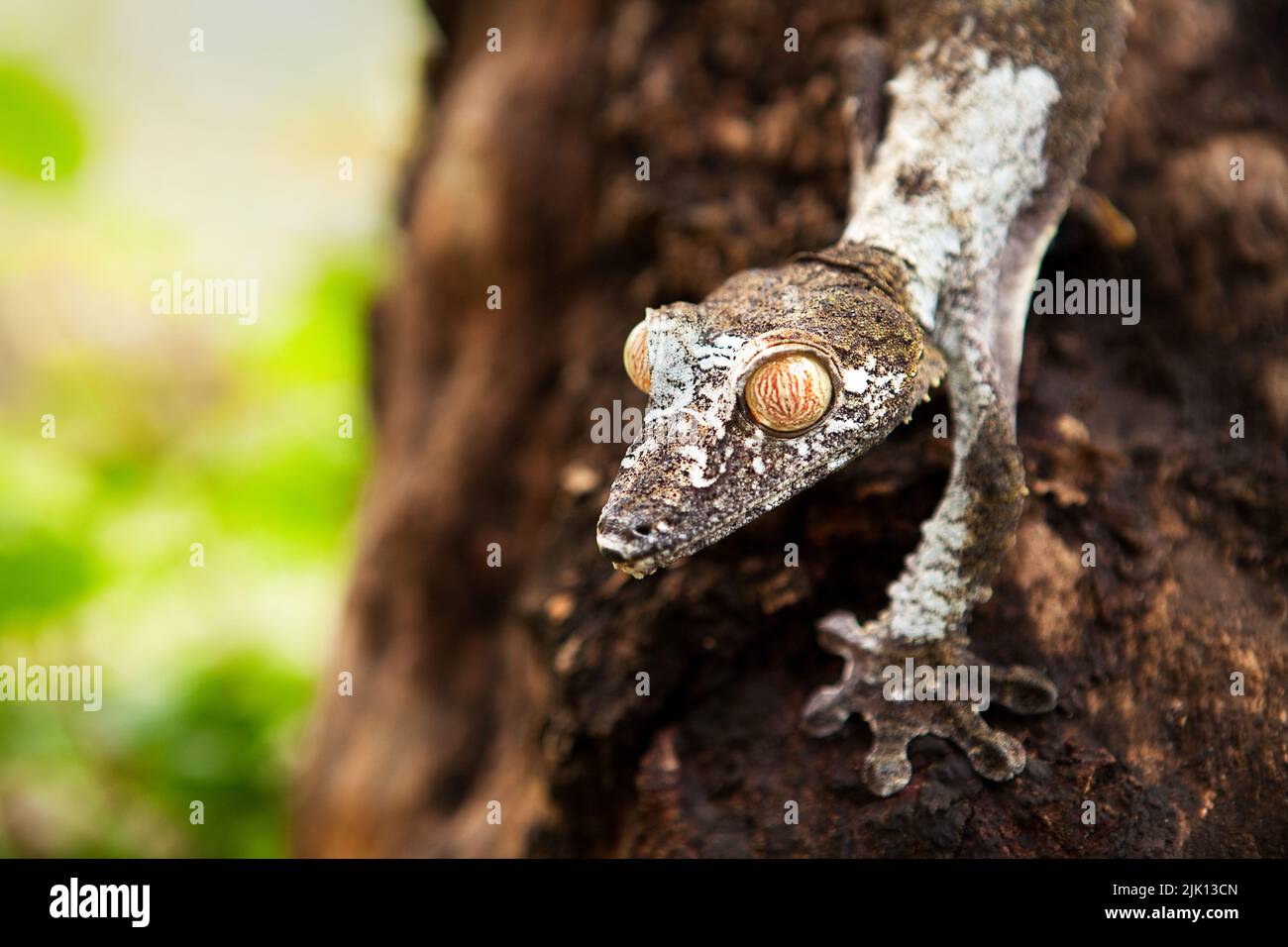 Peyreras reserve hi-res stock photography and images - Alamy