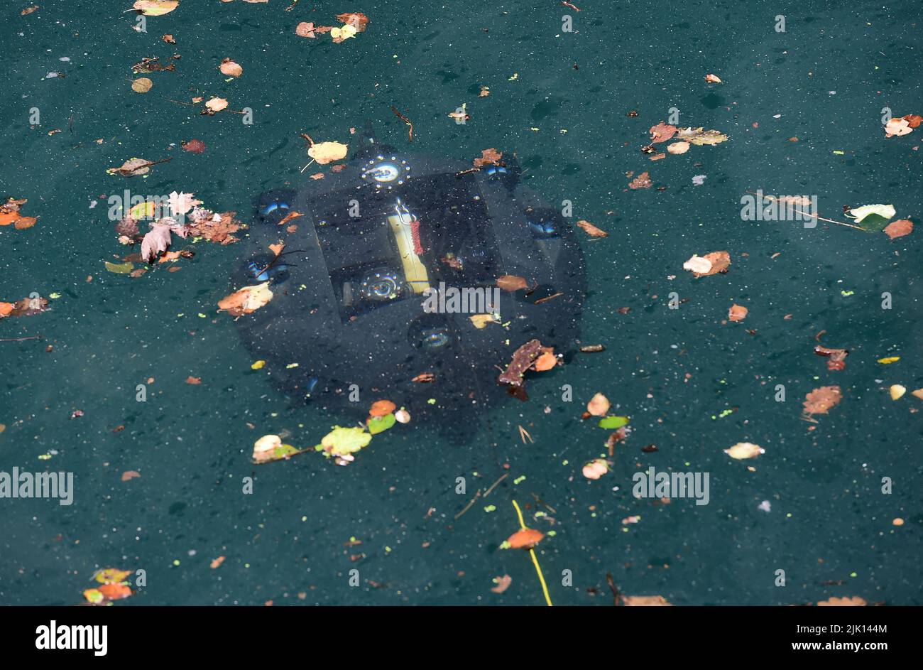 Hranice, Czech Republic. 29th July, 2022. The first dive of a special ...