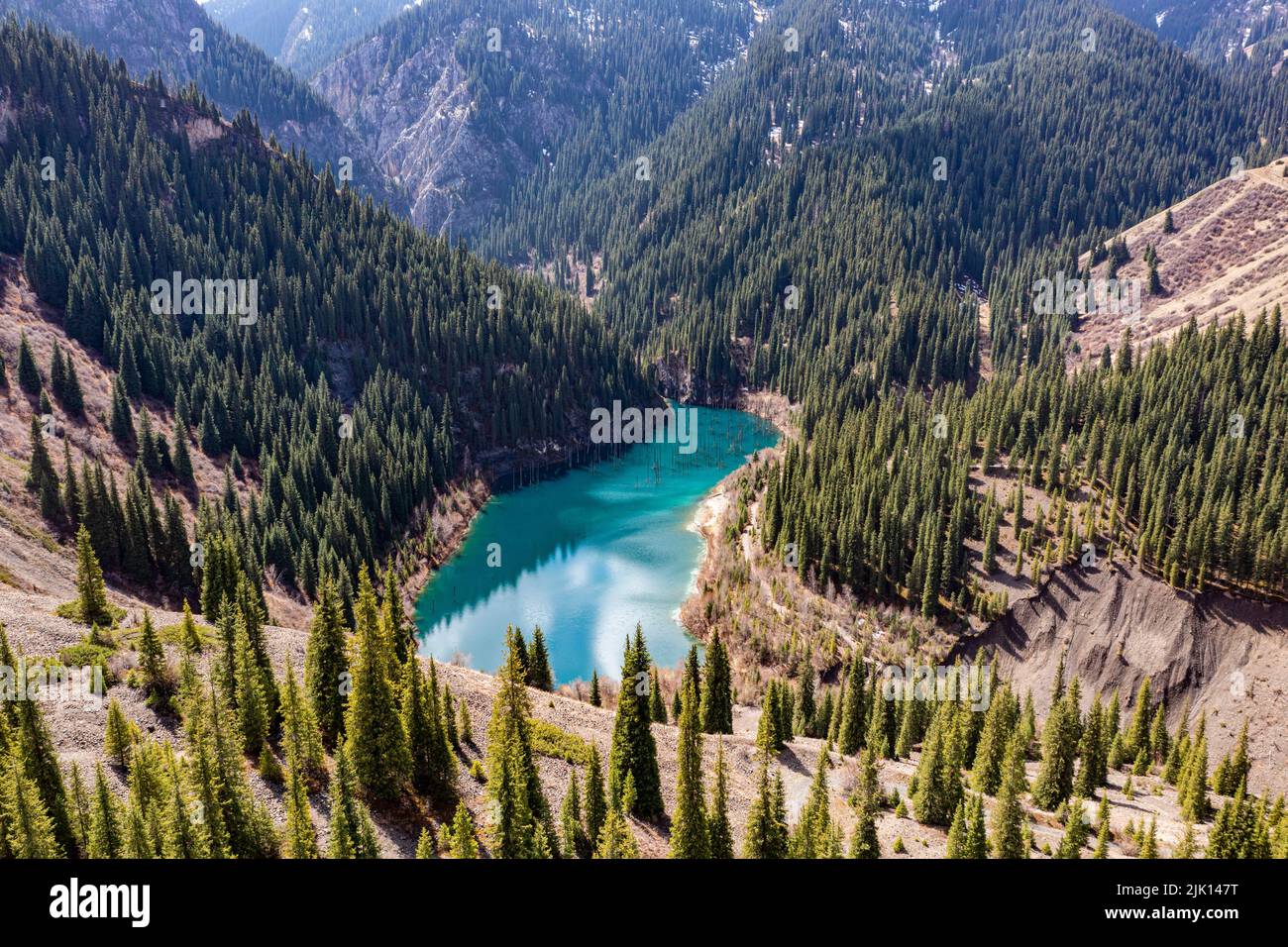Aerial of the Kaindy Lake with its dead trees, Kolsay Lakes National ...