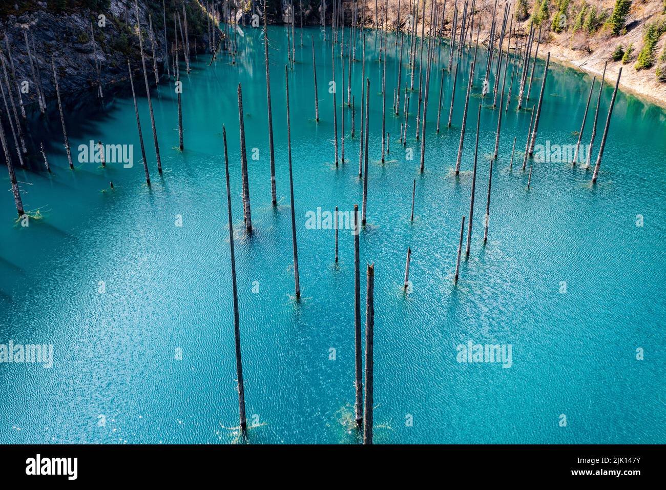 Aerial of the Kaindy Lake with its dead trees, Kolsay Lakes National ...
