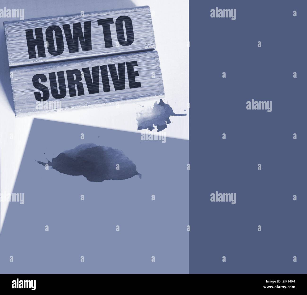 How to Survive words on wooden blocks, wallet, coins and pen. Business ...