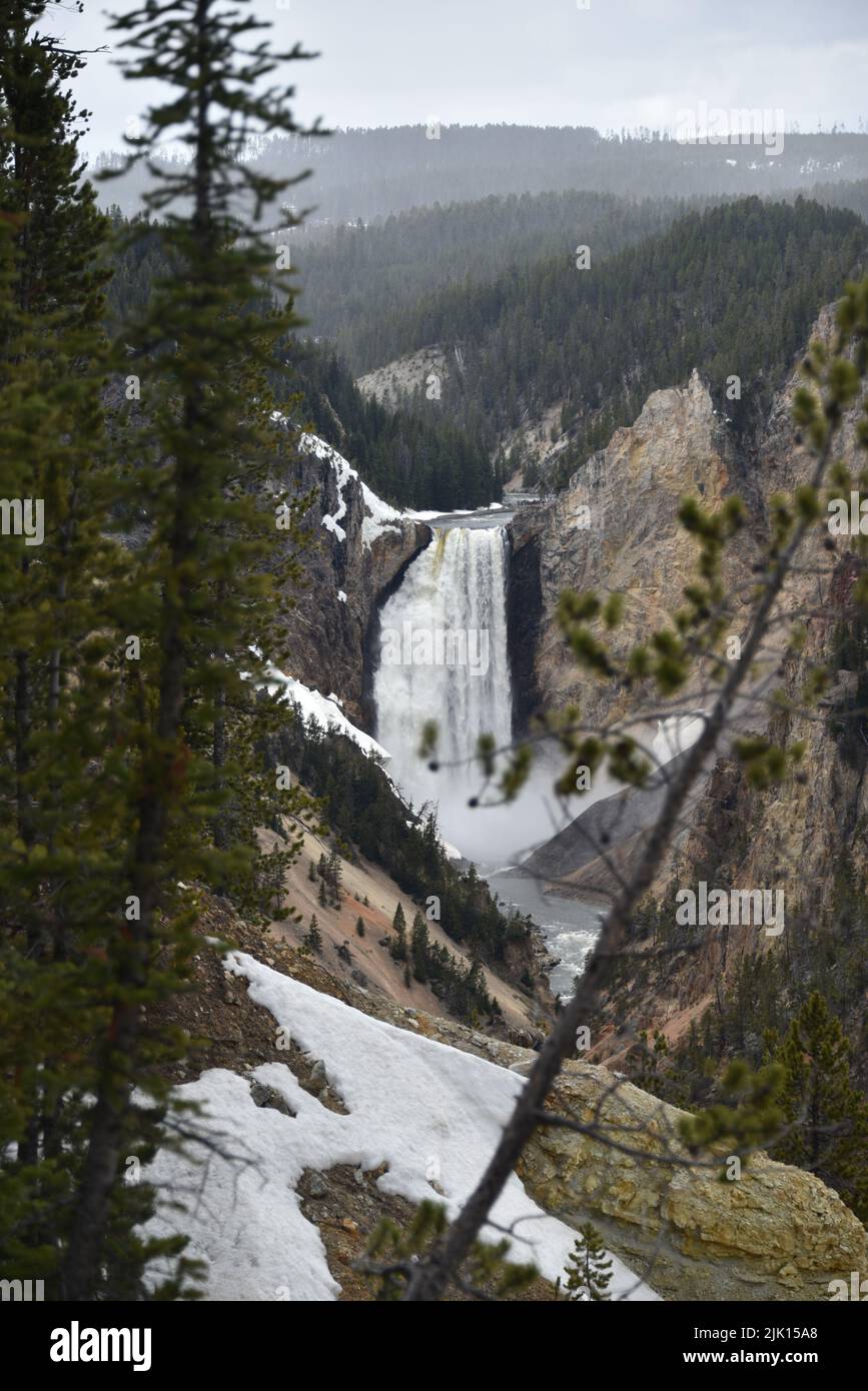 Yellowstone National Park, U.S.A. Grand Canyon of the Yellowstone falls ...
