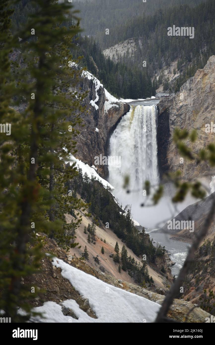 Yellowstone National Park, U.S.A. Grand Canyon of the Yellowstone falls ...