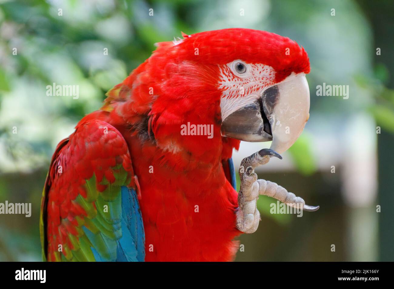 Spaycific hi-res stock photography and images - Alamy Spaycific hi-res stock photography and images - Alamy