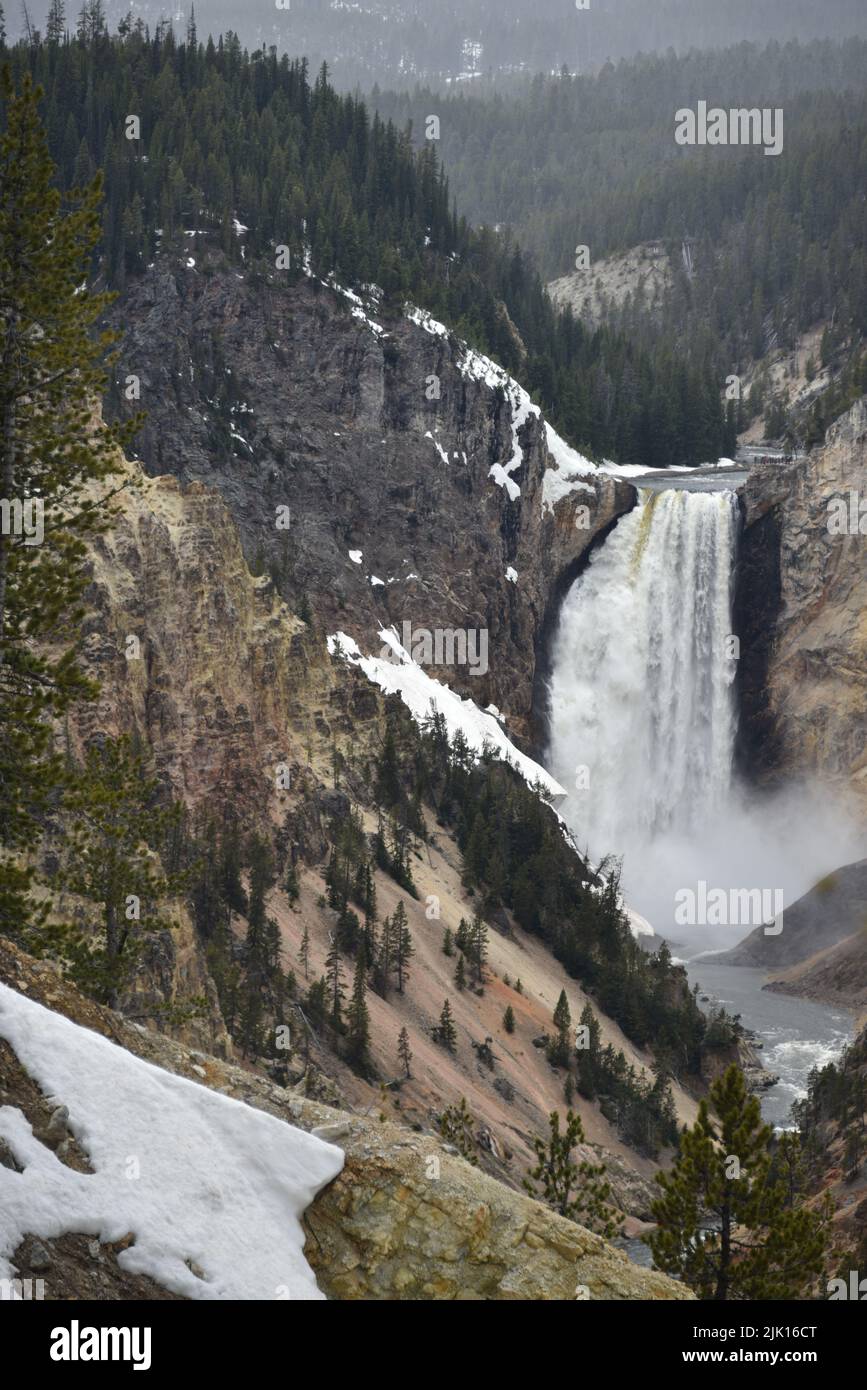 Yellowstone National Park, U.S.A. Grand Canyon of the Yellowstone falls ...