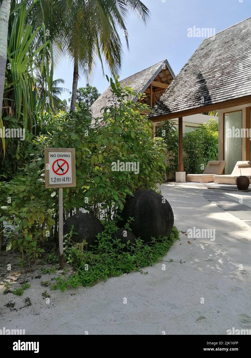 A vertical shot of resort path with trees and diving sign and ...