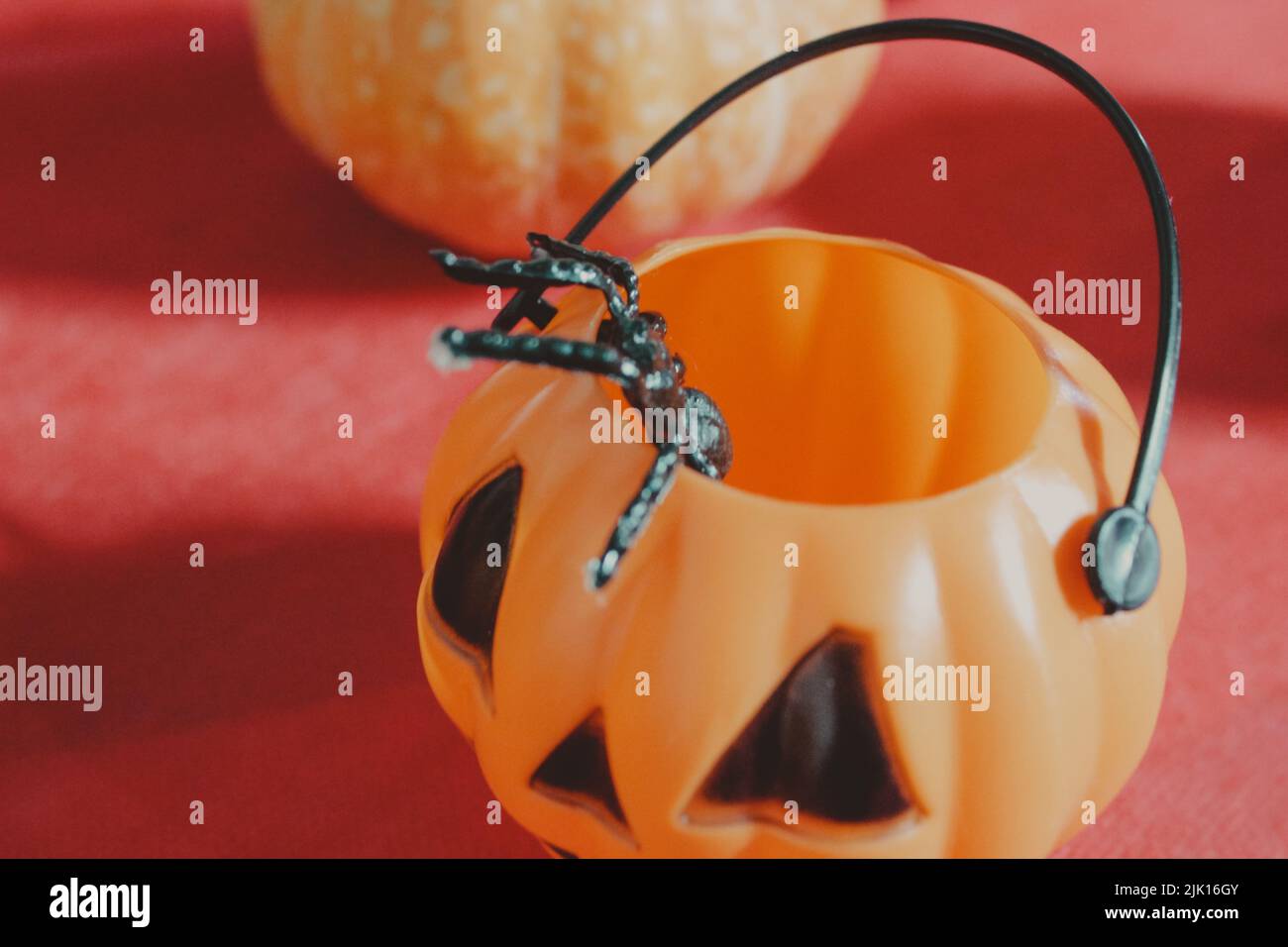 halloween decor with jack o'lantern pot and a spider Stock Photo - Alamy