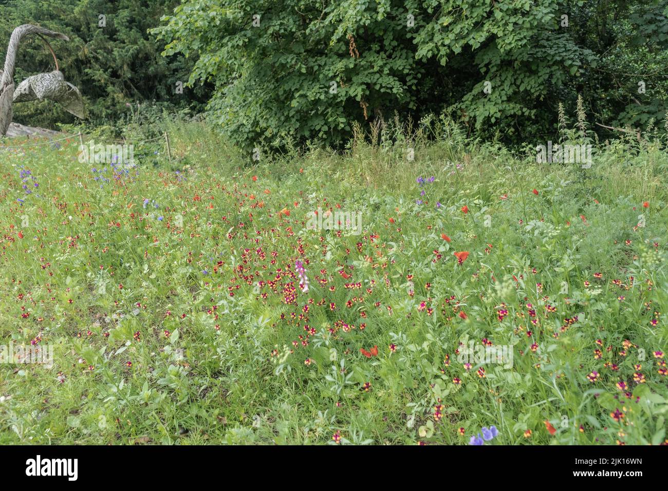 Staffordshire Lakeside colourful flower display Staffordshire Stock ...