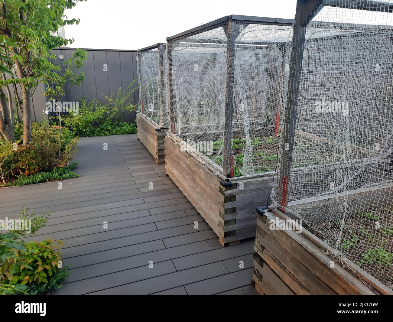 A beautifully designed backyard garden with vegetable and fruit patches ...