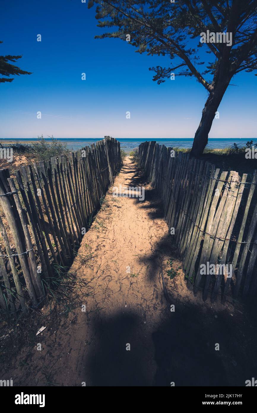 The vertical view of the fenced pathway leading to the sea Stock Photo ...