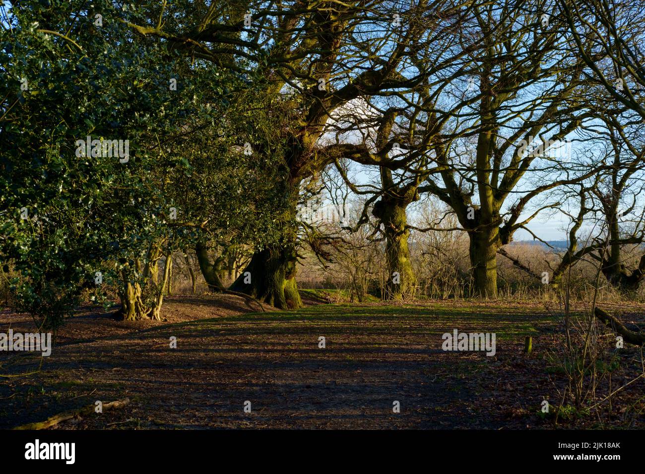 English landscape change hi-res stock photography and images - Alamy