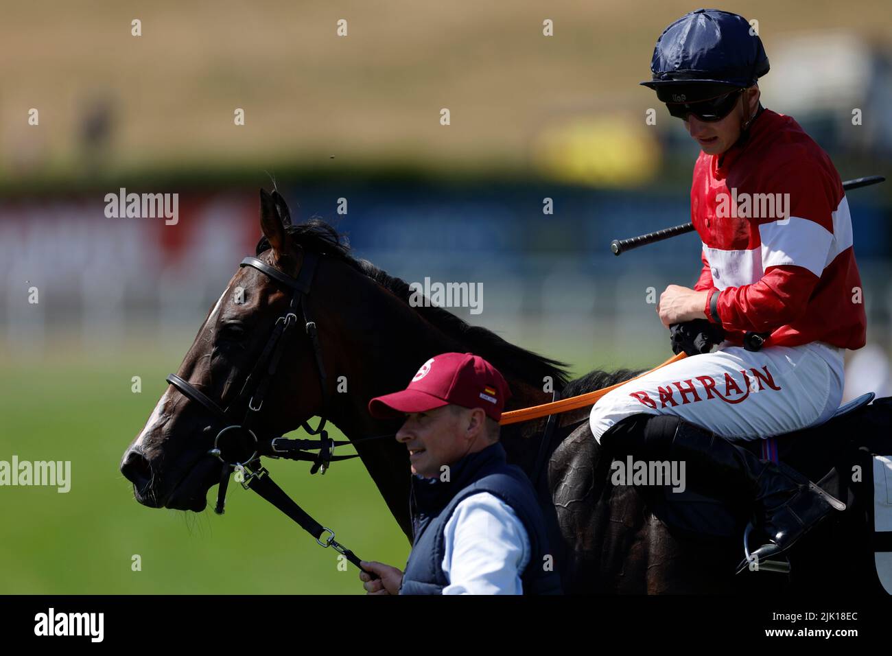 Rocchigiani horse hi-res stock photography and images - Alamy
