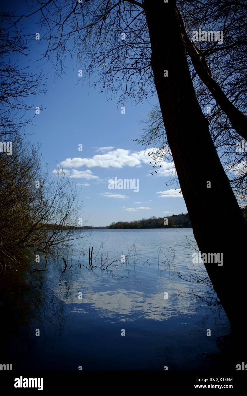 A view of Alton Water Resevoir, Suffolk, England, UK Stock Photo - Alamy