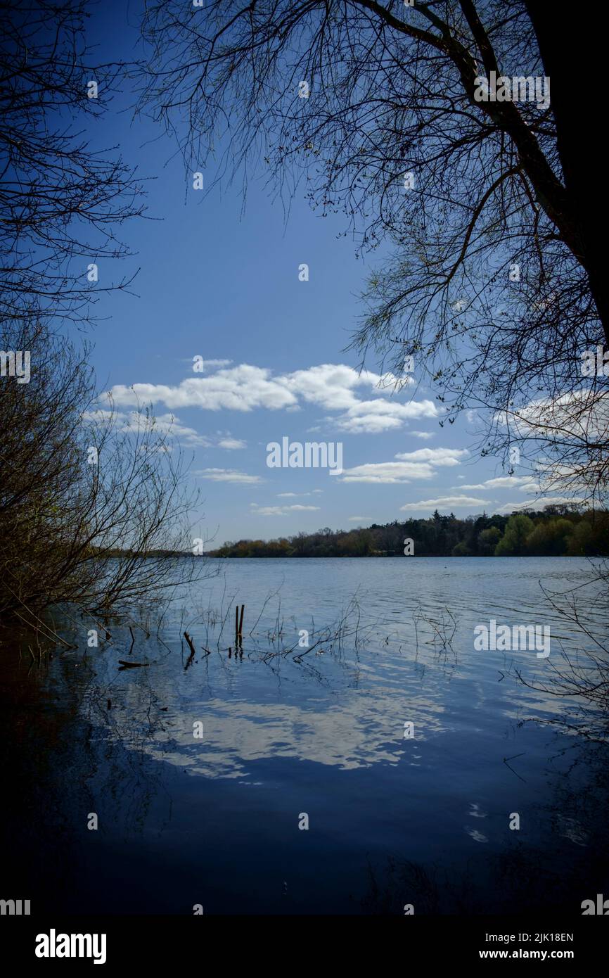 A view of Alton Water Resevoir, Suffolk, England, UK Stock Photo - Alamy