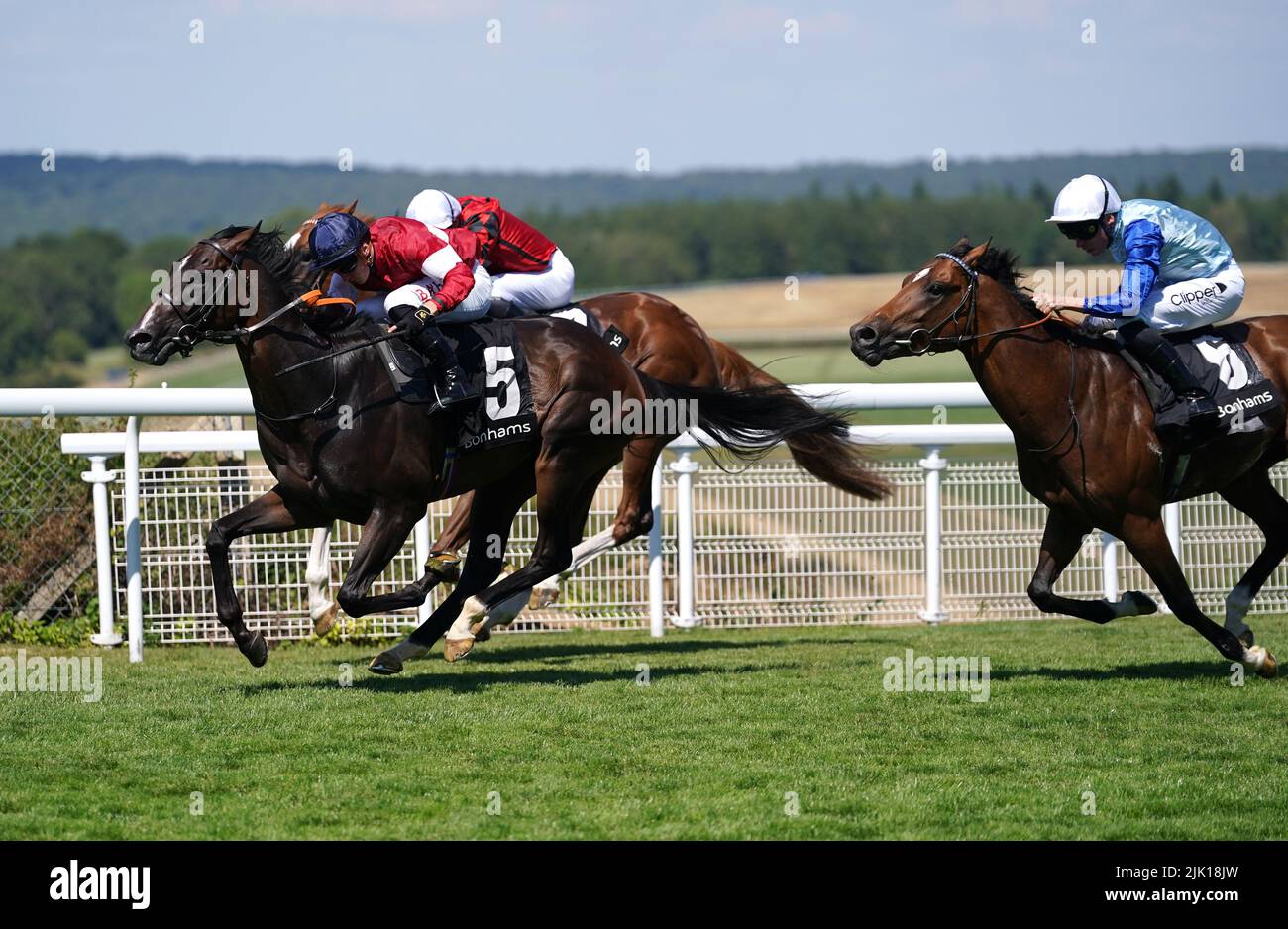 Rocchigiani horse hi-res stock photography and images - Alamy