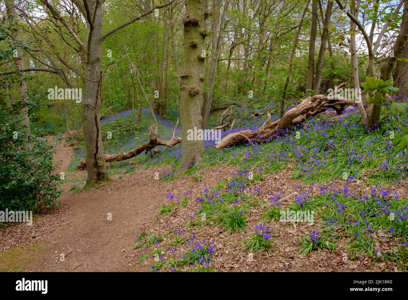 Polstead hi-res stock photography and images - Alamy
