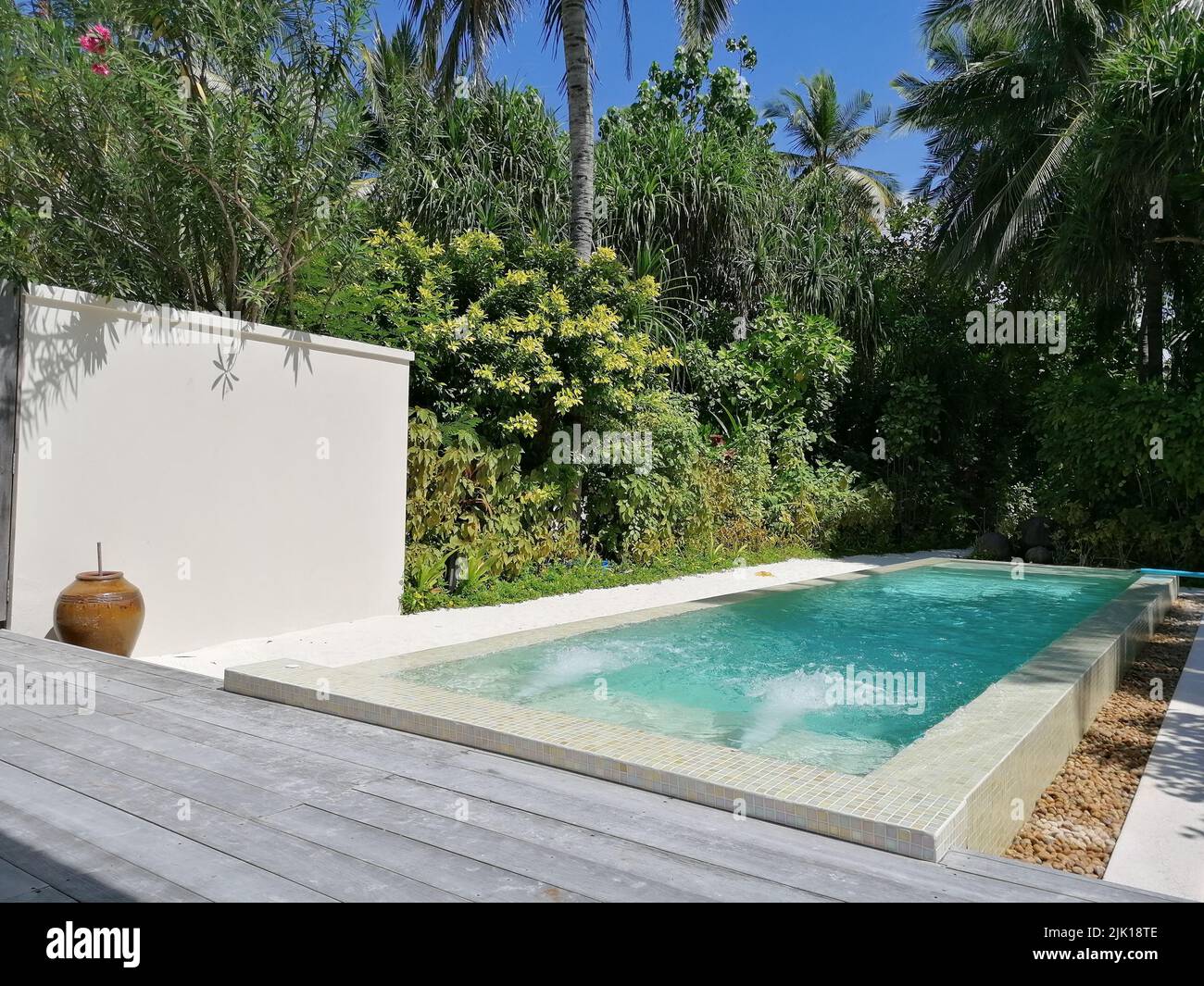 A pool in a garden surrounded by green trees Stock Photo - Alamy
