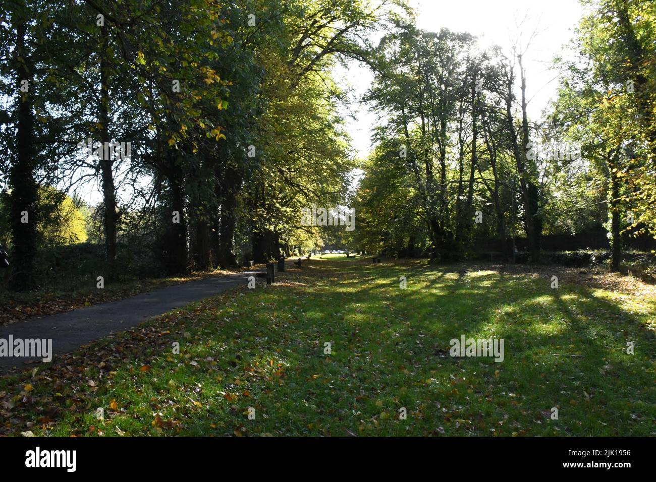 Canal walk in autumn colours hi-res stock photography and images - Alamy