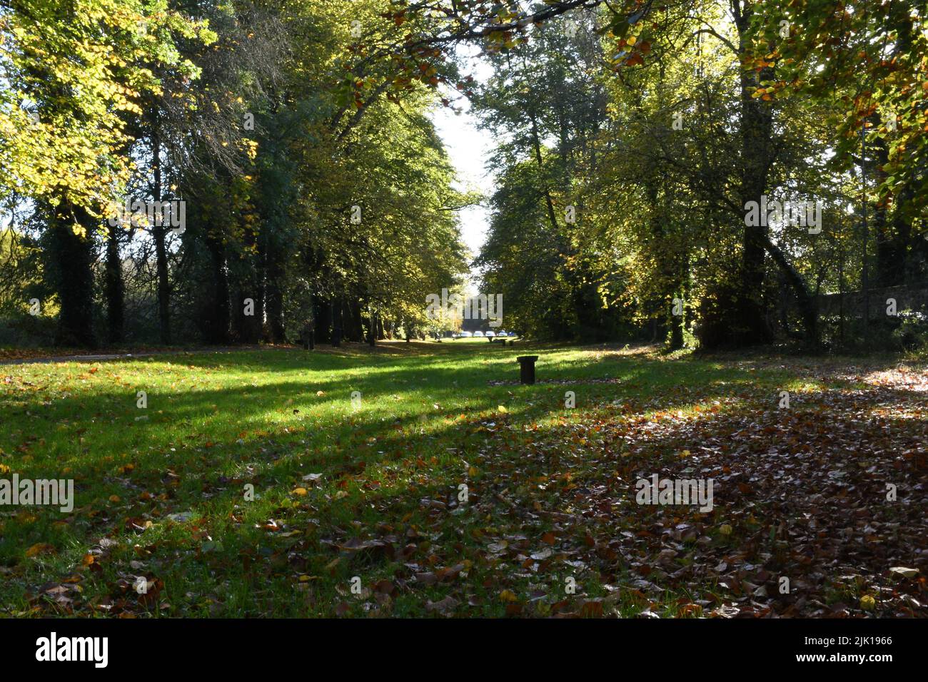 Canal walk in autumn colours hi-res stock photography and images - Alamy