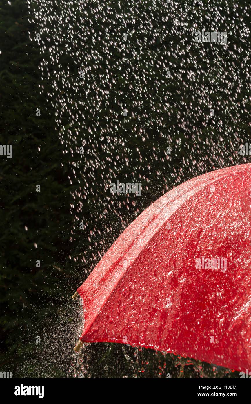 Red umbrella giving protection from heavy rain Stock Photo - Alamy