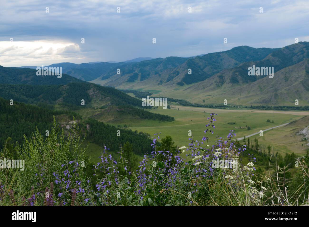 Altai russia hi-res stock photography and images - Alamy