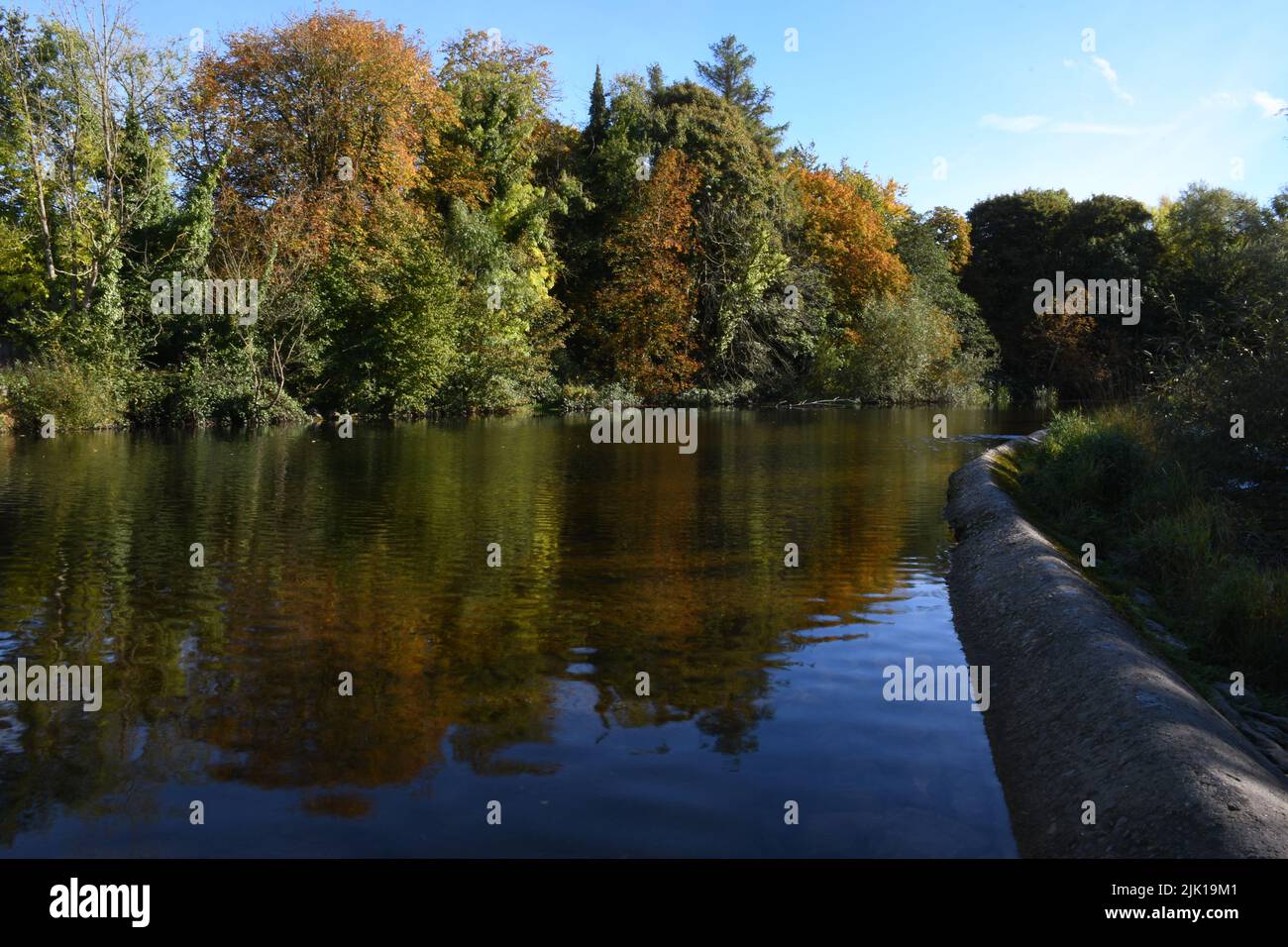 Autumn colours on weir, River Nore, River Nore Linear Park, Riverside ...