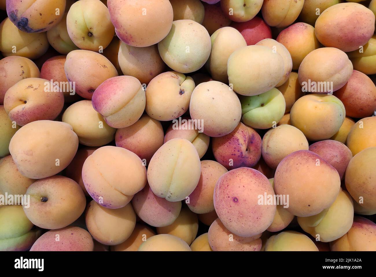Full frame close-up on a stack of Apricots on a market stall Stock ...