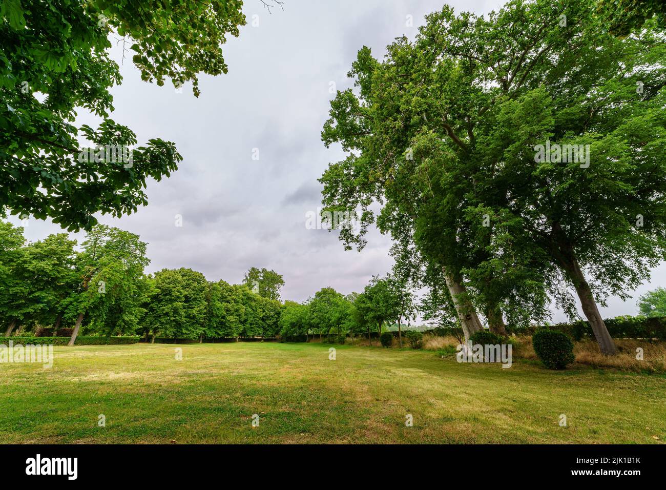 Public park with huge trees and green meadow to rest and walk Stock ...