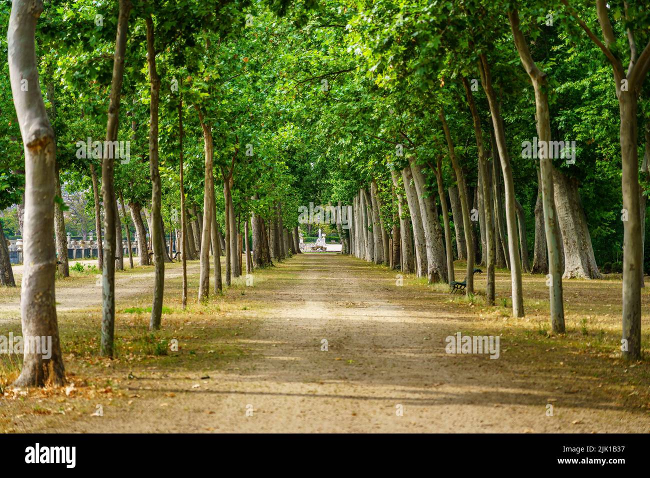 Nice walk through the public park with large trees and benches to rest ...