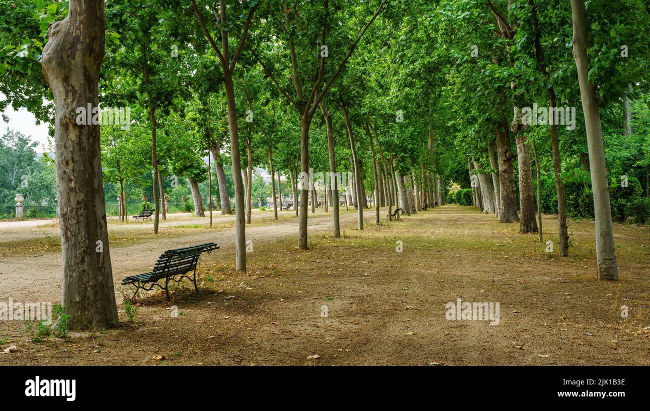 Nice walk through the public park with large trees and benches to rest ...