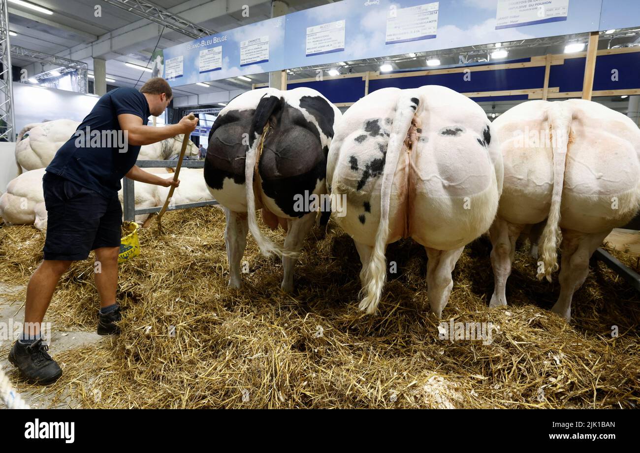 Blanc belge hi-res stock photography and images - Alamy